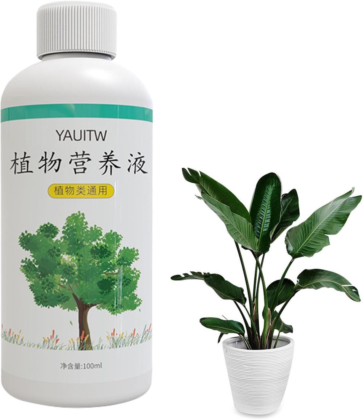 Liquid Rooting Hormones - High-Performing Liquid Root for Plants ...