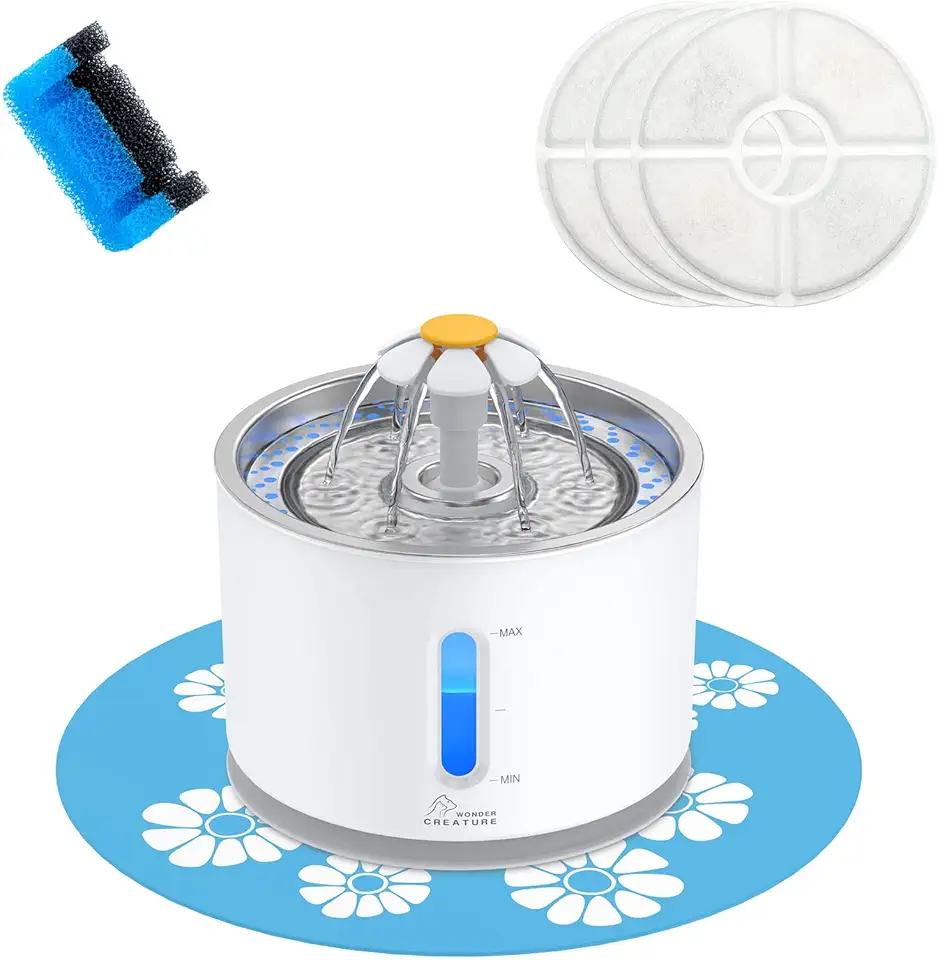 Common Bugs In Cat Water Fountains: How To Deal With Them | PetShun