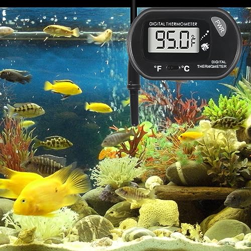 Snapklik.com : Digital Aquarium Thermometer, Water Thermometer, Fish ...