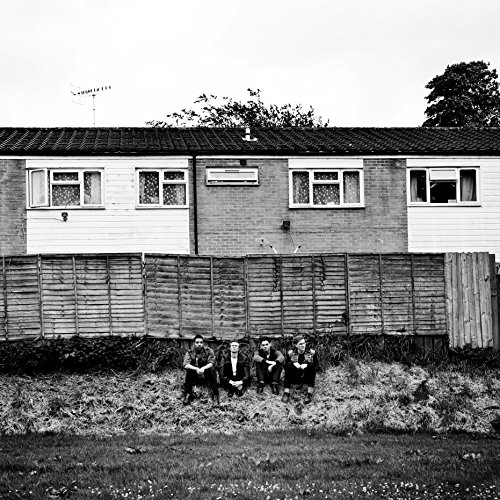 Train Safe – Die 16 besten Produkte im Vergleich - Haustierratgeber ...