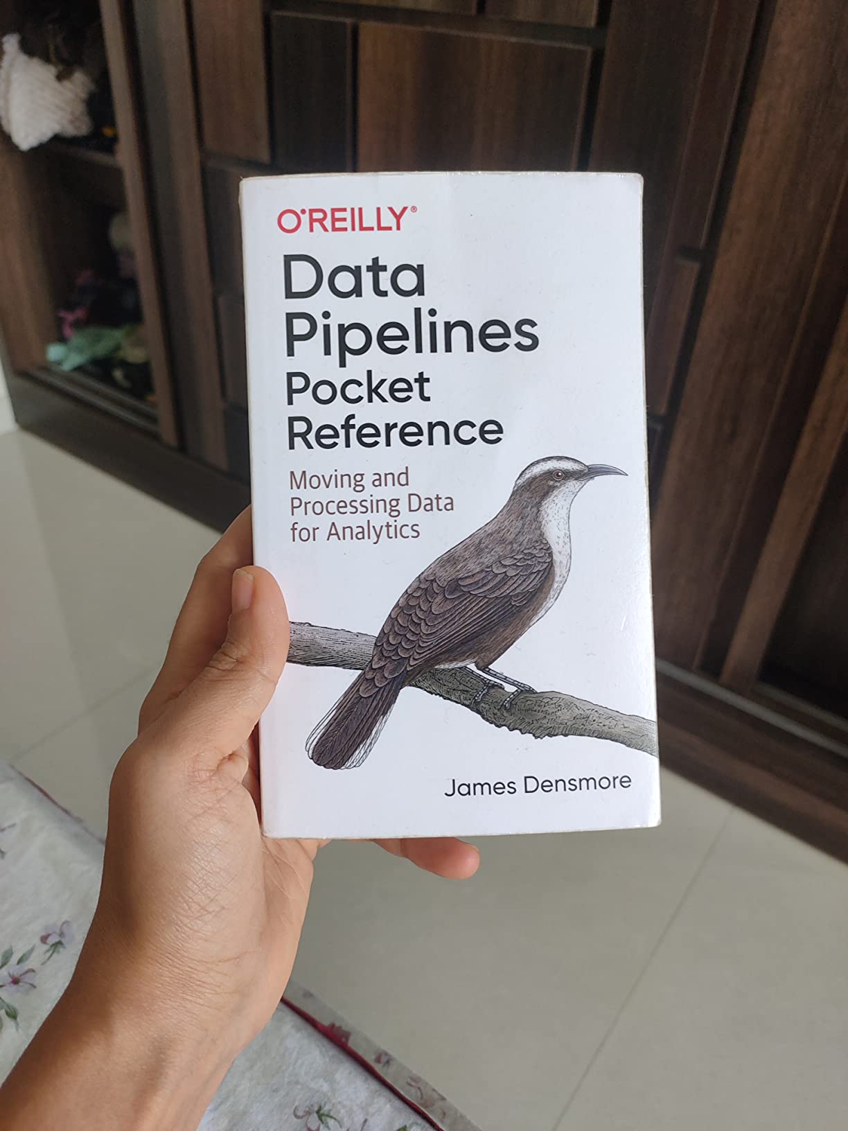 Data Pipelines Pocket Reference: Moving and Processing Data for Analytics : Densmore, James ...