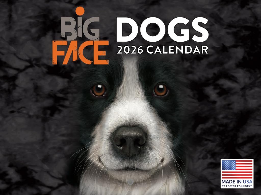 Vincent Hie Big Face Dogs Calendar 2026 Monthly Wall : Amazon.ca ...