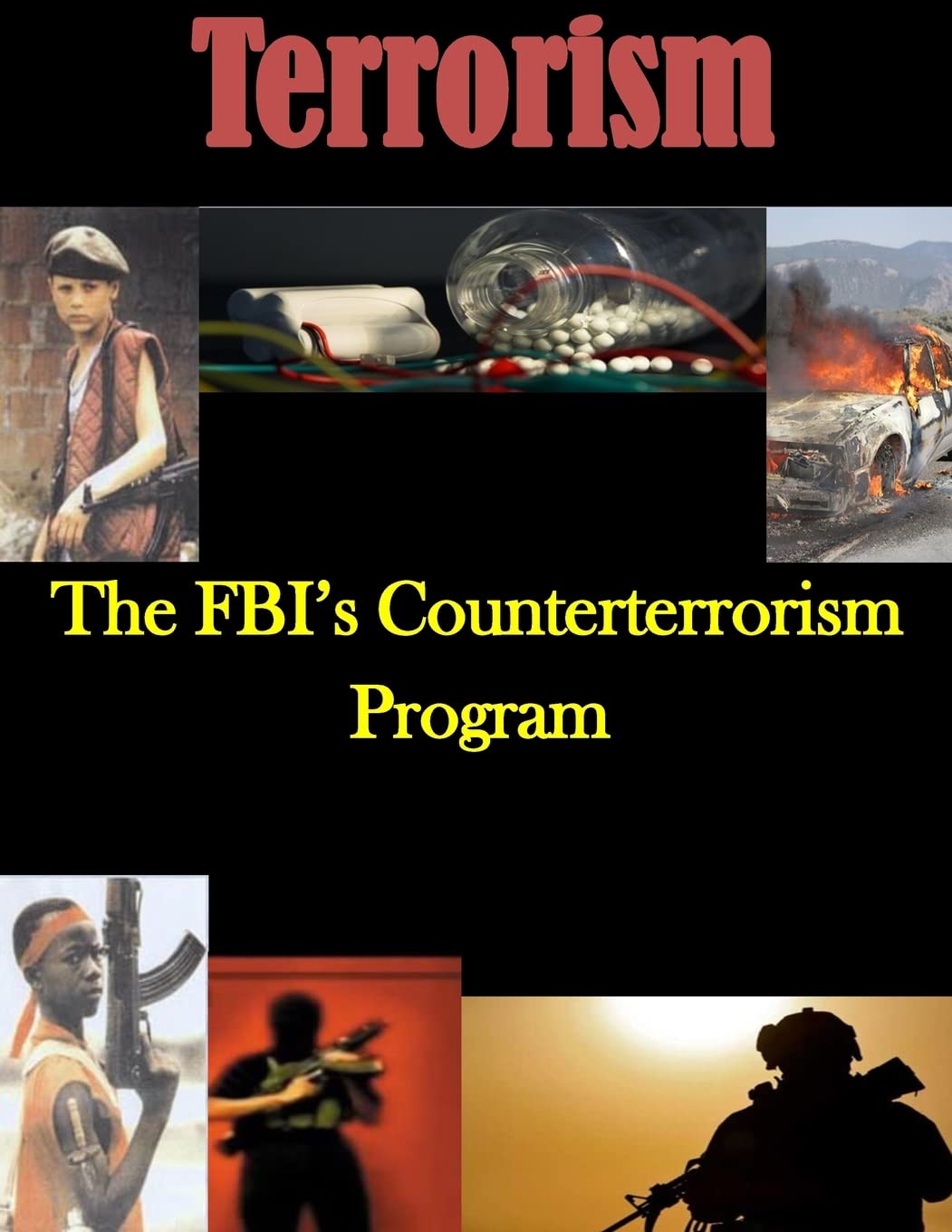The FBI's Counterterrorism Program: U.S. Department of Justice, Federal ...