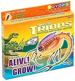 Triops: the Complete Guide - Care, Hatching, Feed & Tank Setup
