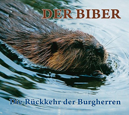 Der Biber: Amazon.co.uk: Schwab, Gerhard: 9783935719322: Books