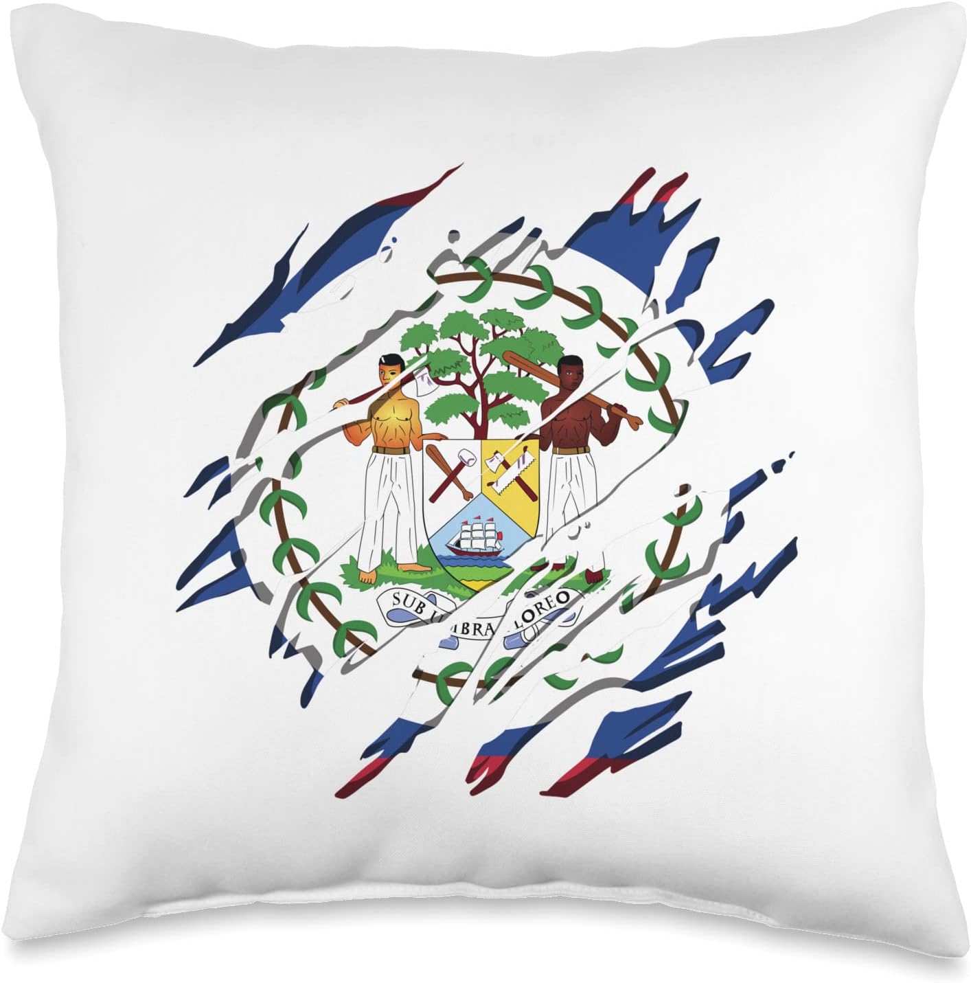 Amazon.com: Flag Identity Pride Heritage Belize Throw Pillow : Home ...