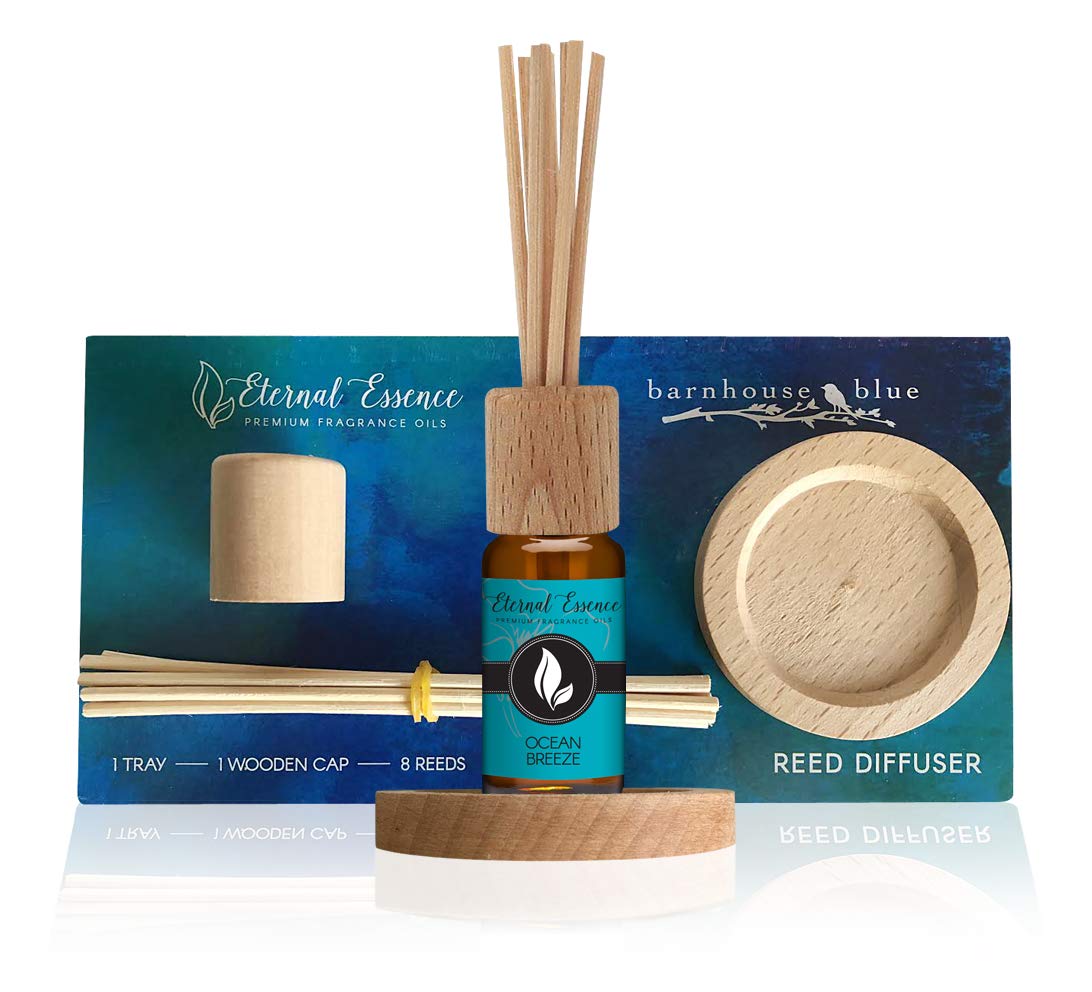 Amazon.com: Ocean Breeze 10ML - Premium Grade Fragrance Oils & Wooden ...