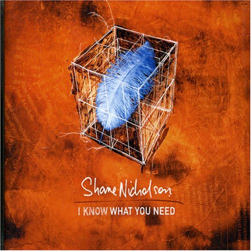 I Know What You Need : Nicholson, Shane: Amazon.fr: CD et Vinyles}