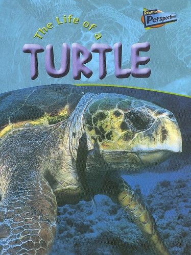The Life of a Turtle (Perspectives): Hibbert, Clare: 9781410905468 ...