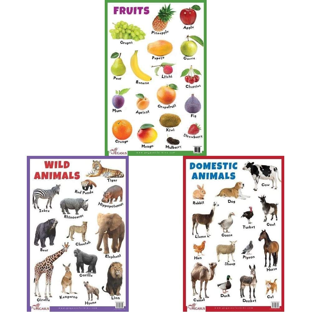 Buy Fruits - Thick Laminated Primary Chart+Wild Animals - Thick ...