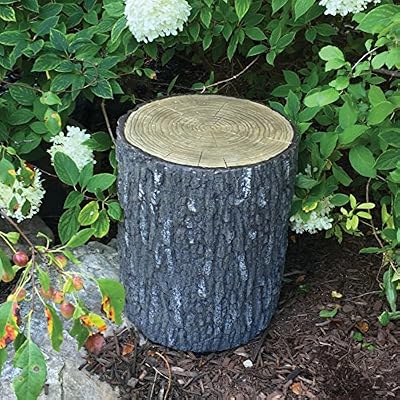 Amazon.com: well pump covers