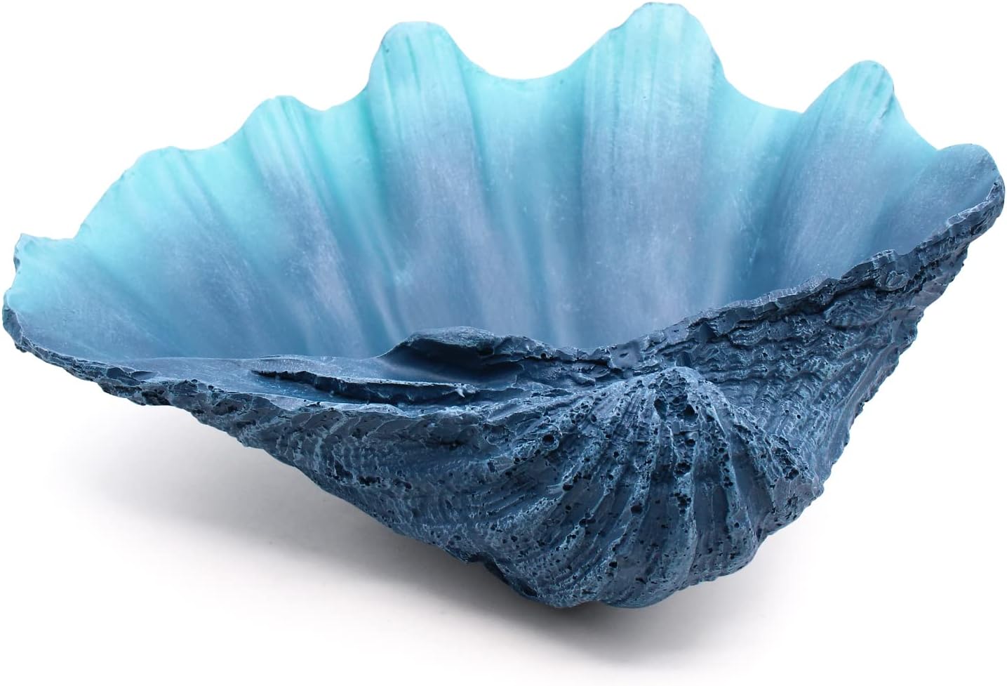 Amazon.com: ALIWINER Medium Blue Scalloped Clam Shell Bowl Sea Shell ...