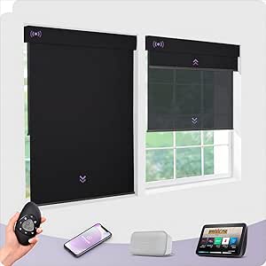 Amazon.com: Graywind Motorized Dual Shades for Windows Smart Double Blinds Blackout and Solar ...
