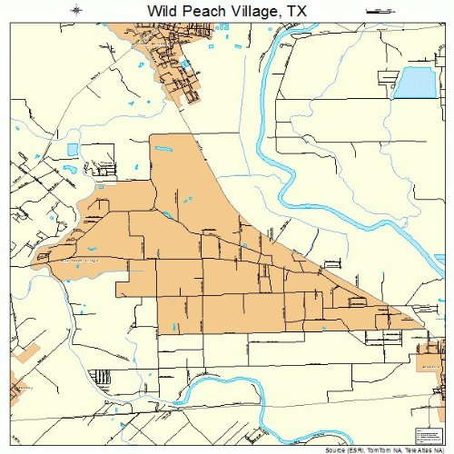 Amazon.com: Large Street & Road Map of Wild Peach Village, Texas TX ...