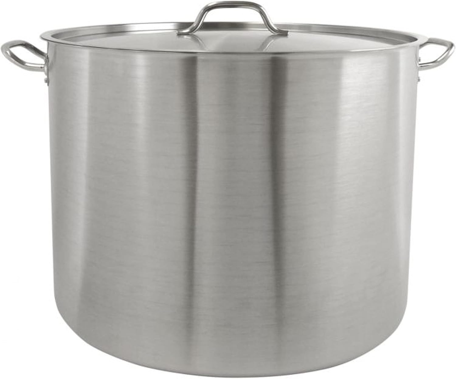 Amazon.com: TrueCraftware- 80 qt. Stainless Steel Stock Pot with Lid ...