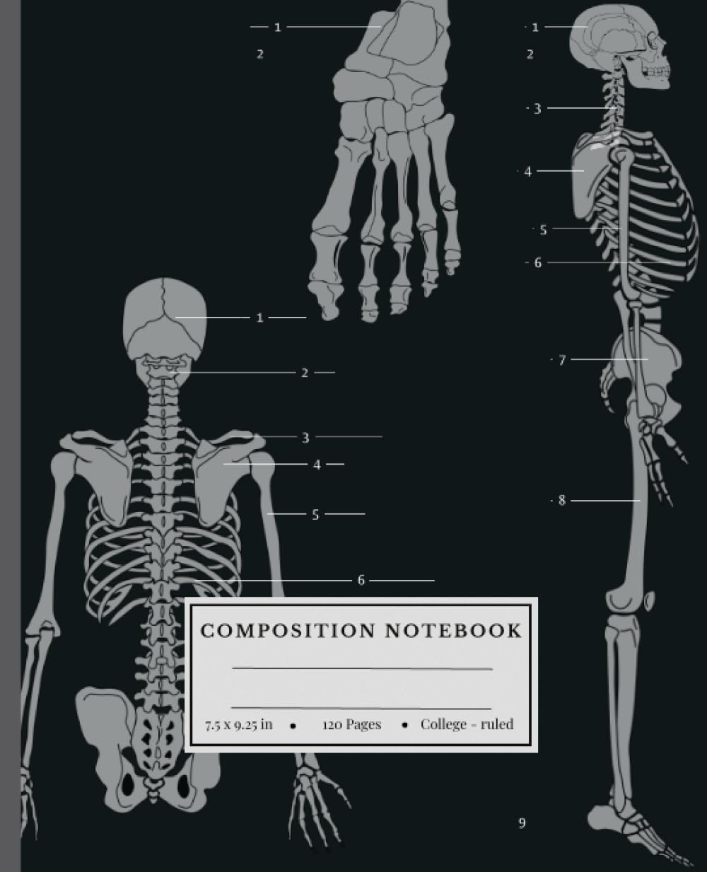 Composition Notebook College Ruled: Vintage Human Anatomy Medical ...