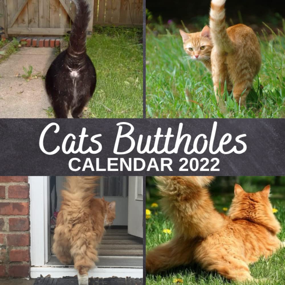 Cats Buttholes Calendar 2022 Cats Buttholes Monthly Calendar 2022 White ...