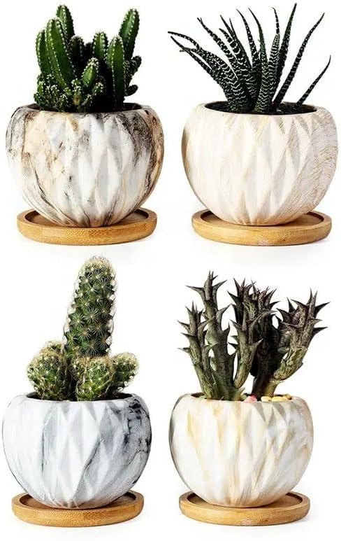 Amazon.com : Succulent Pots (Set of 4) with Drainage Hole and Saucer ...