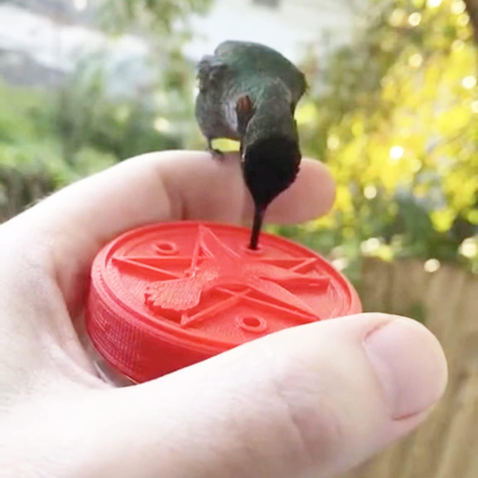 Amazon.com : Casetic Hand Hummingbird Feeders, 2022 New Hand Held ...
