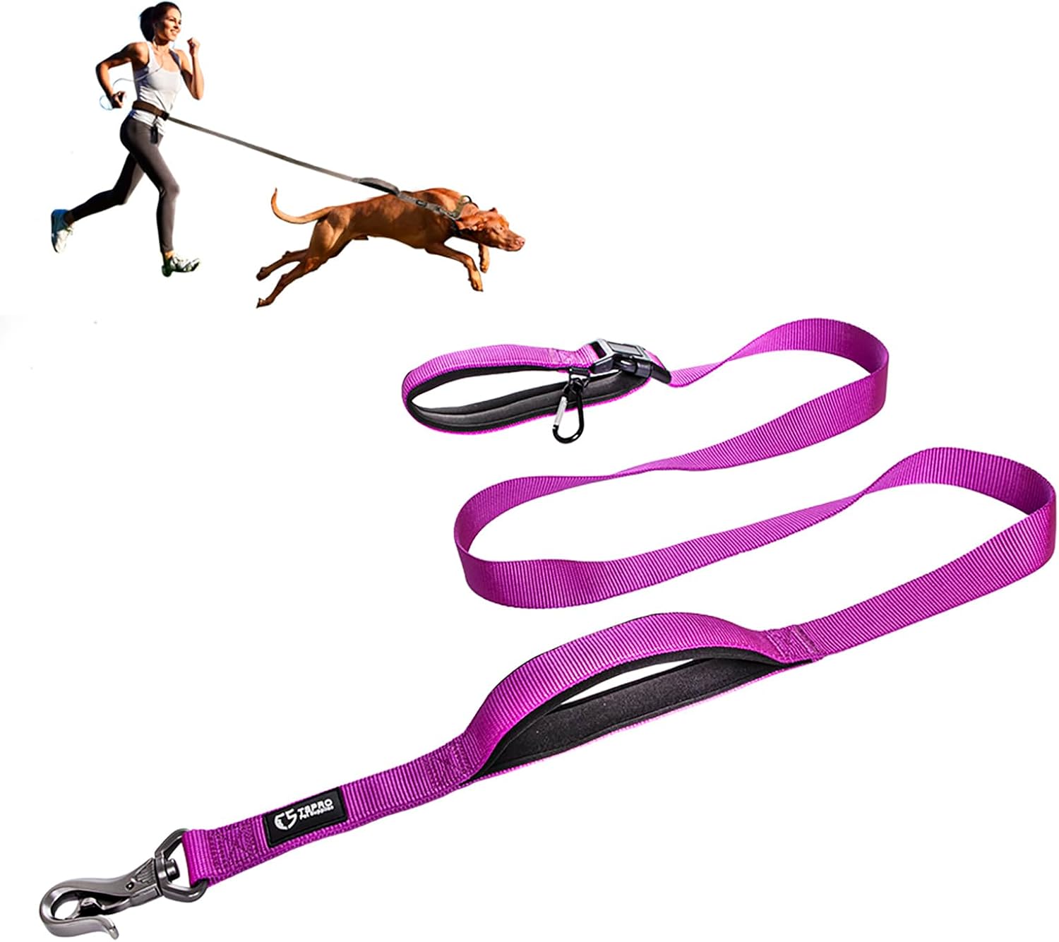Amazon.com : TSPRO Hands Free Dog Leash Adjustable Walking Running Dog ...