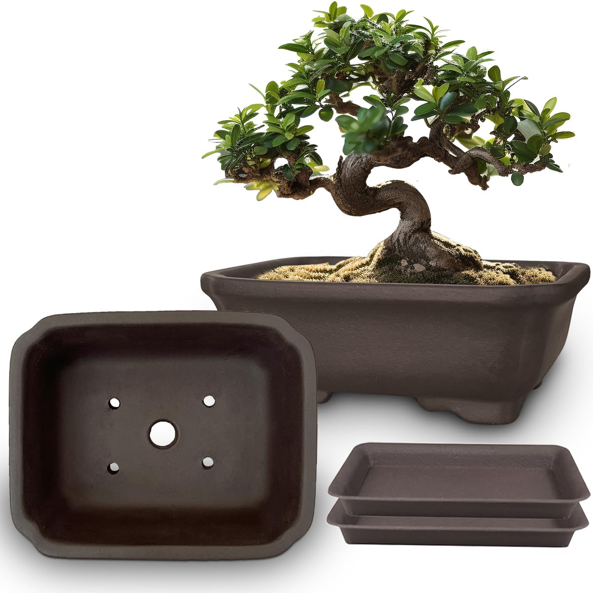 Amazon.com : MUZHI 2PACK Unglazed 6” Ceramic Bonsai Pot with Humidity ...