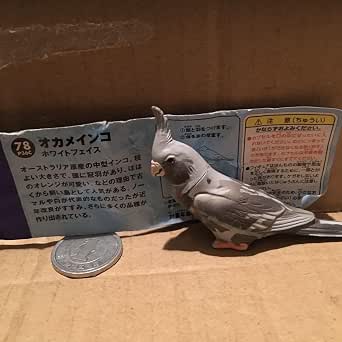 Amazon.co.jp: ChocoQ Cockatiel White Face Figure : Toys & Games