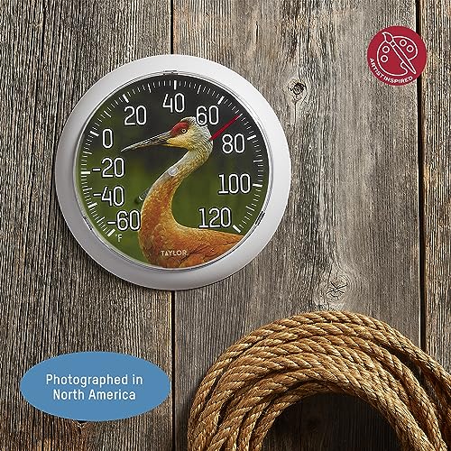 Snapklik.com : Taylor Nature Series Sandhill Crane Indoor Outdoor Dial ...