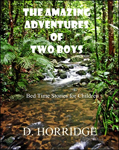 THE AMAZING ADVENTURES OF TWO BOYS: Bed Time Stories for Children ...