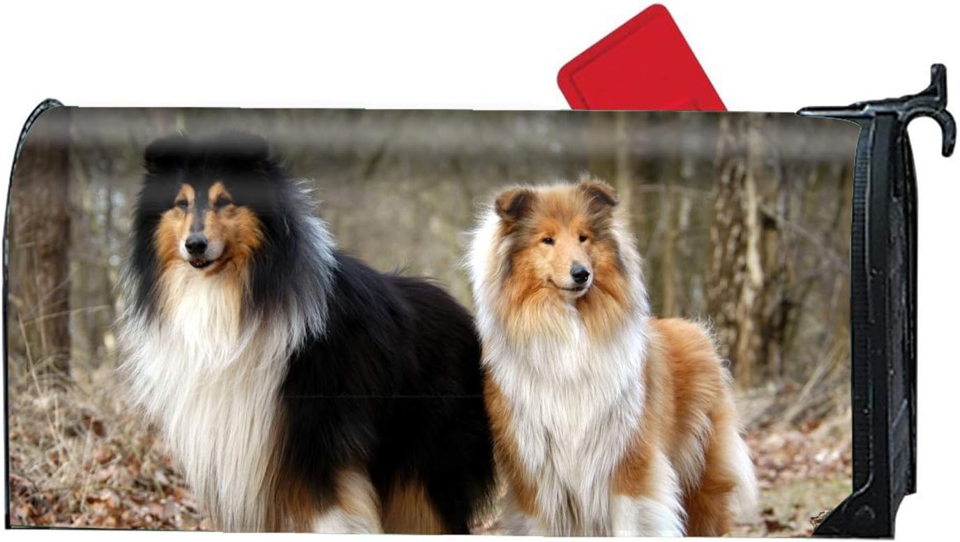 Amazon.com: fael Forest Shelties Mailbox Makeover - Magnetism PVC ...