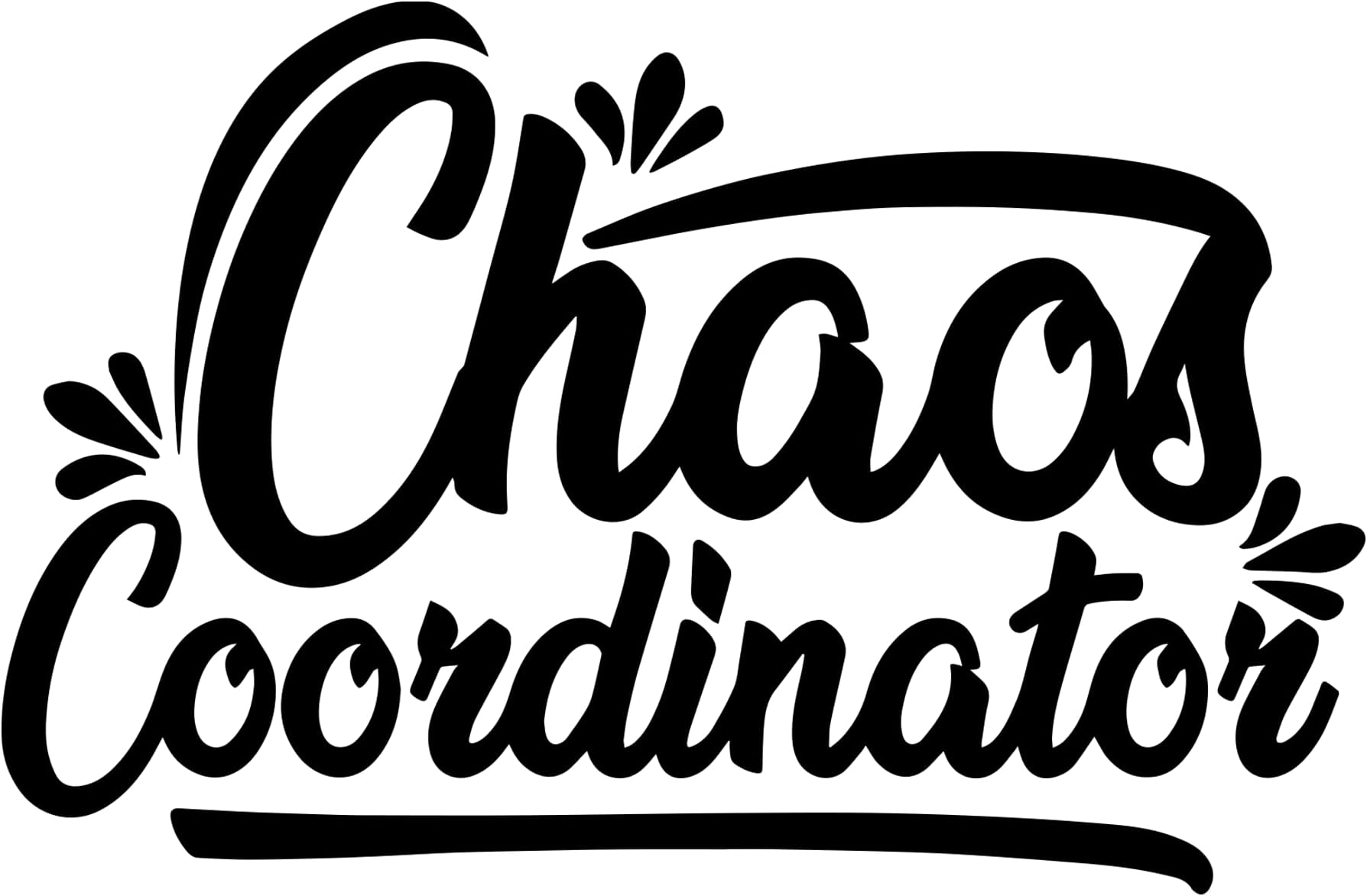 Amazon.com: 65Pcs Chaos Coordinator Stickers Pack, Aesthetic Vinyl ...