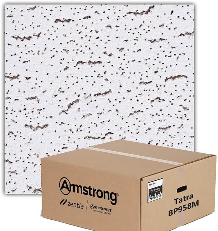 Tatra Ceiling Tiles 600mm x 600mm - Box of 16 : Amazon.co.uk: DIY & Tools