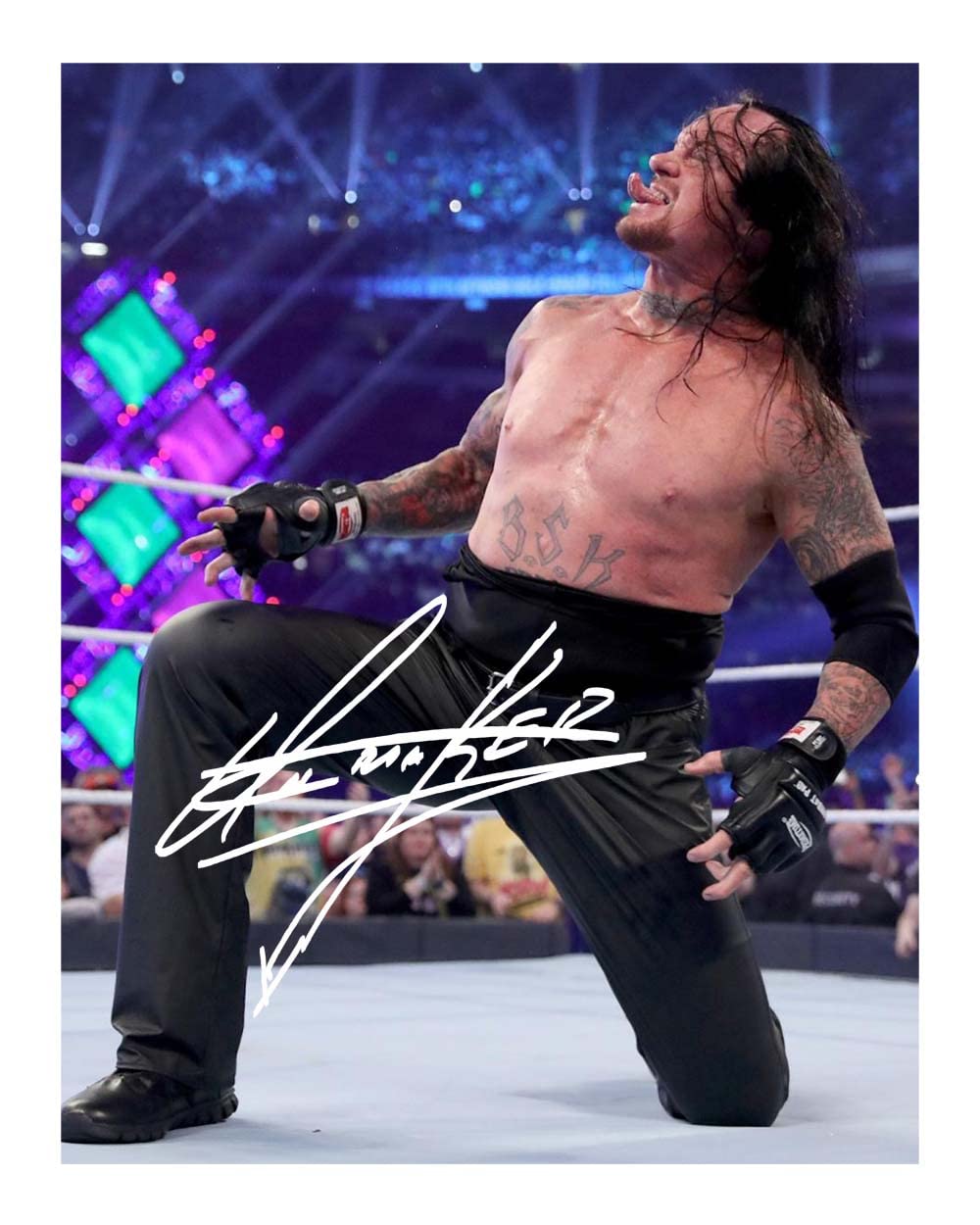 Amazon.com: The Undertaker - Wrestling Signed 8x10 Inch Photo Print Pre ...
