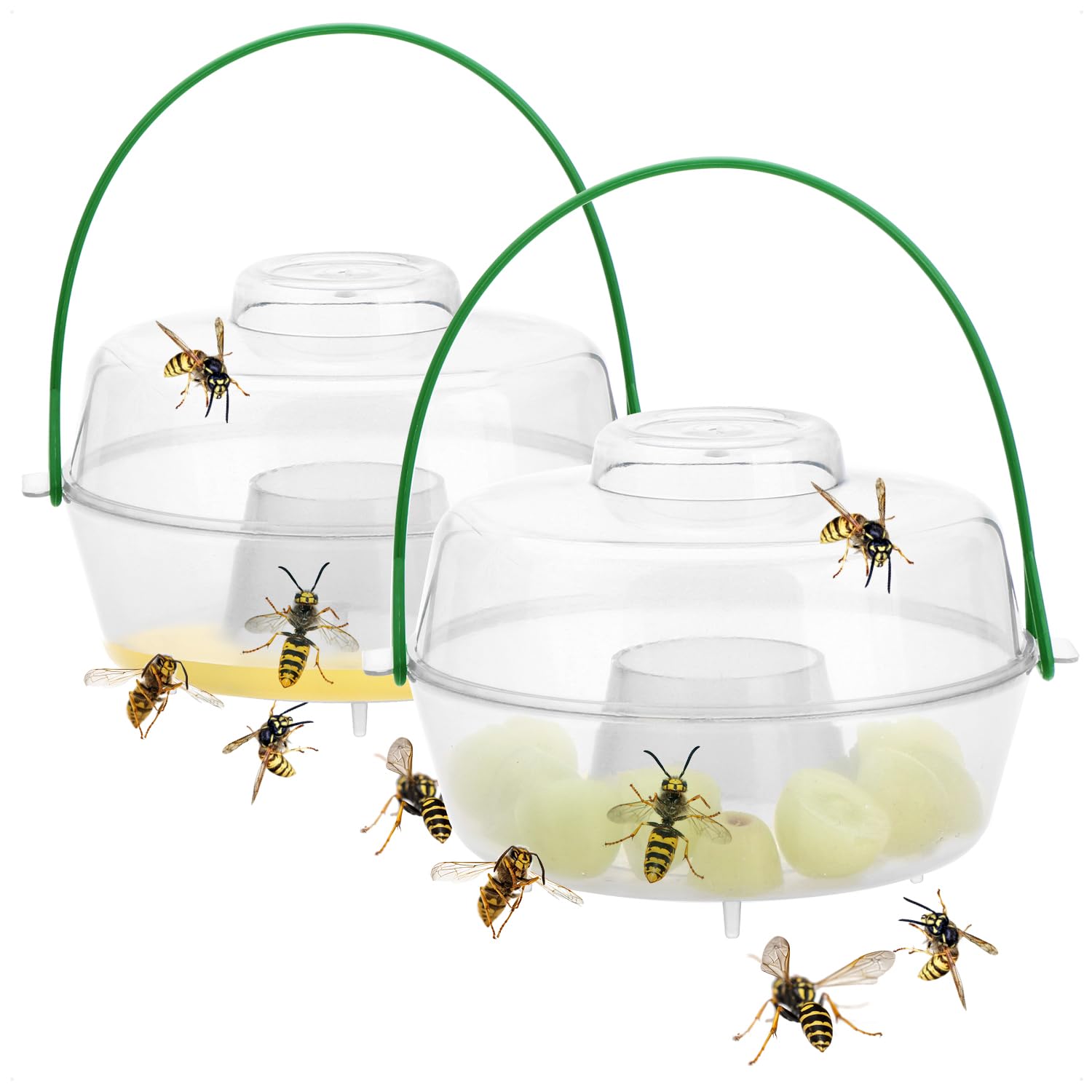com-four® 2X Piège à Insectes en Plastique - Piège Vivant Protège la ...