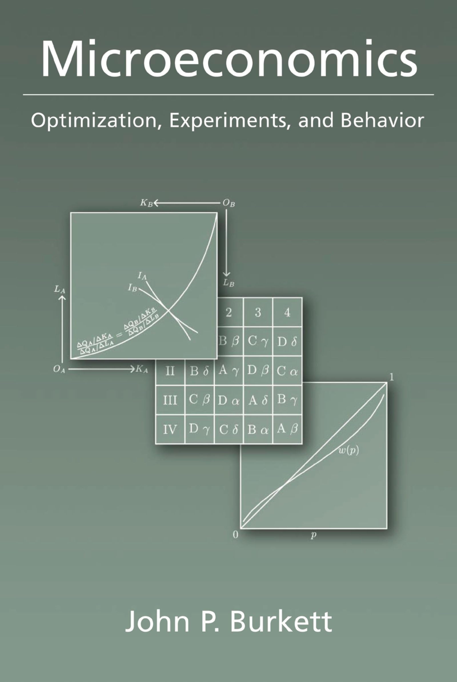 Microeconomics: Optimization, Experiments, and Behavior: 9780195189629 ...
