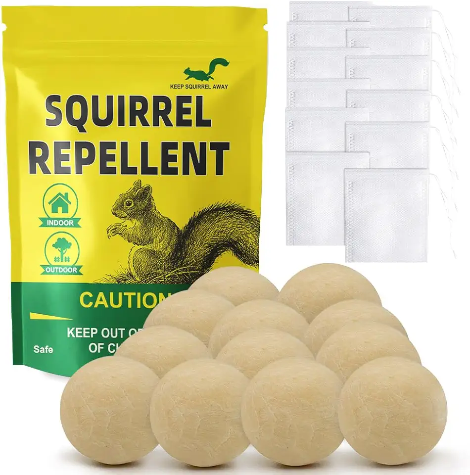 Effective Ways To Keep Squirrels Off Screens | PetShun