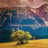 【発売日：2022年05月27日】・製造元:Rest And Nature Records