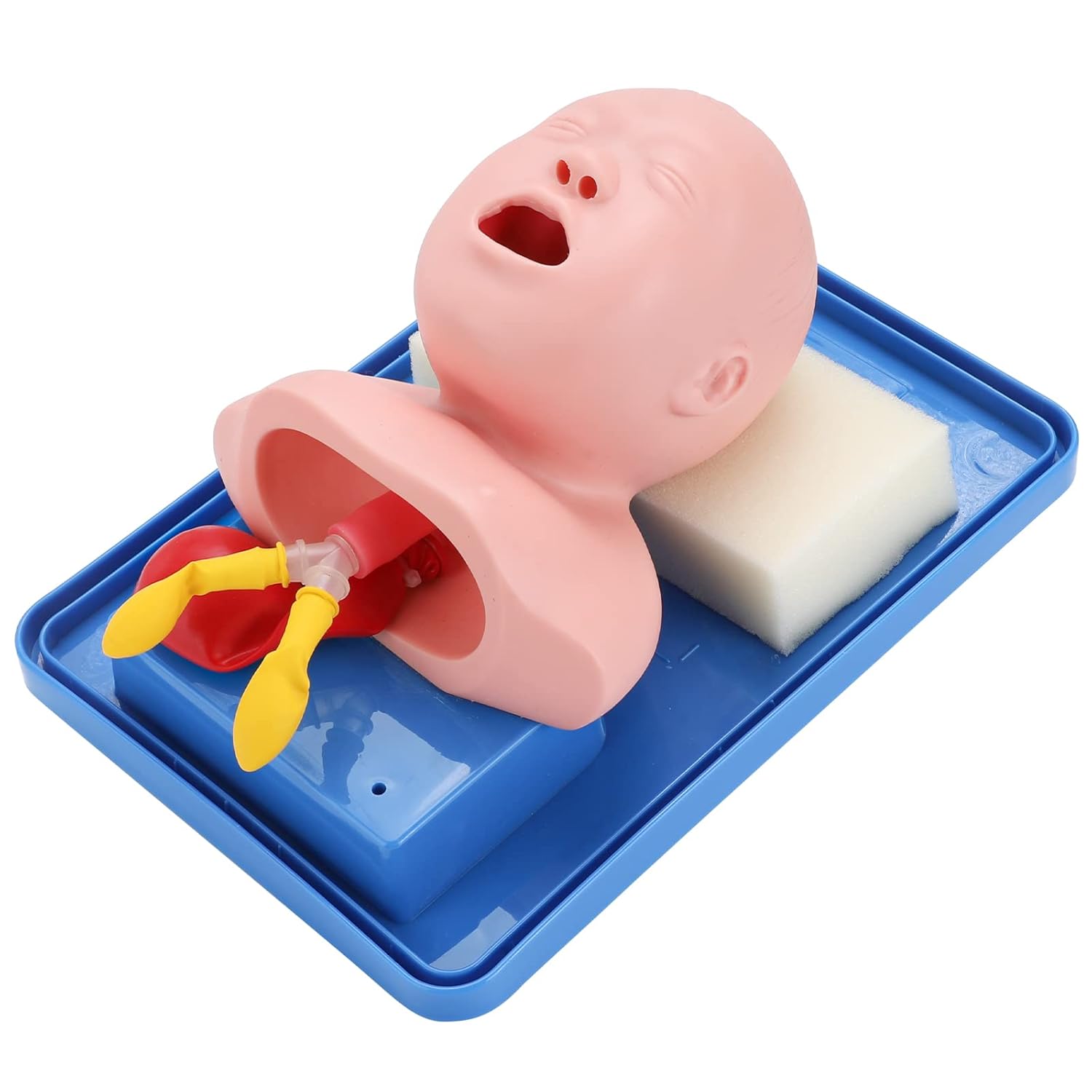 Amazon.com: HEALTHIBLE Tracheal Intubation Infant Model - Oral/Nasal ...