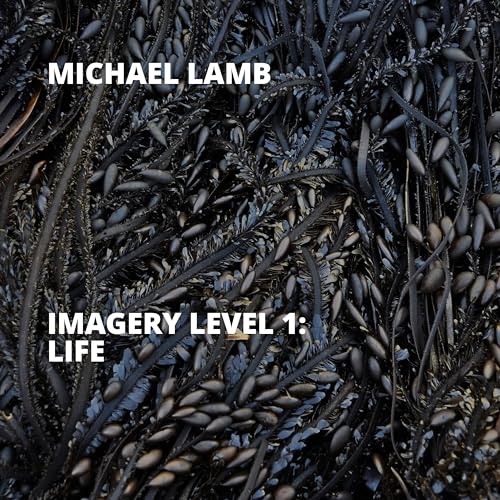 Amazon MusicでMichael LambのImagery Level 1: Lifeを再生する