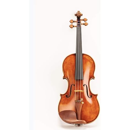 Amazon.com: Maestro Old spruce Stradi Model 509 D Z Strad Violin with ...