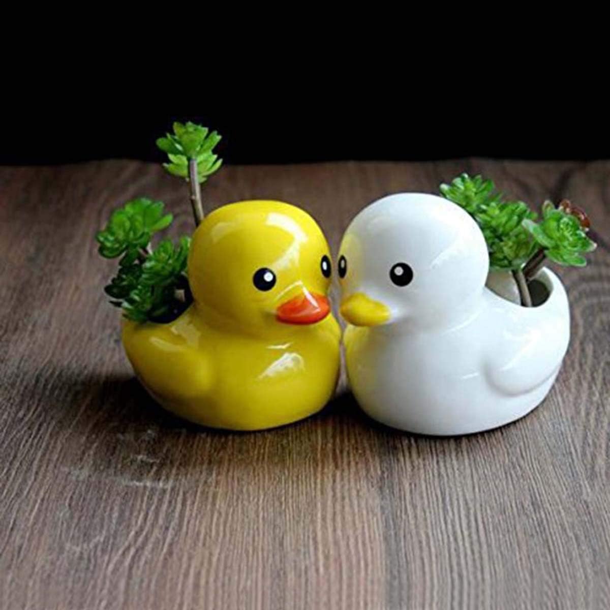 Amazon.com: AIXIANG 2 Pack Duck Shaped Succulent Pot Ceramic Flowing ...