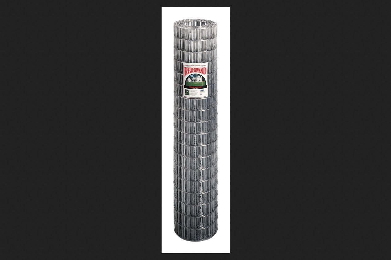 Amazon.com : Keystone Steel & Wire 74274 36 x 50/2 x 4 12.5GA Wire ...