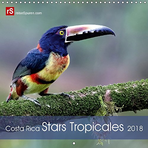 COSTA RICA STARS TROPICALES CALENDRIER MURAL 2018 300 300 MM: 12 STARS ...