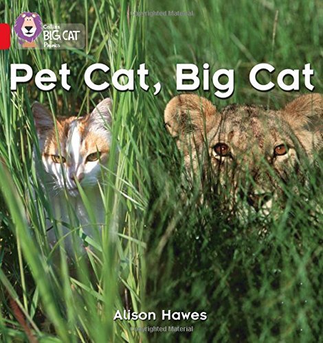 Collins Big Cat Phonics - Pet Cat, Big Cat: Red A/Band 2A by Hawes ...