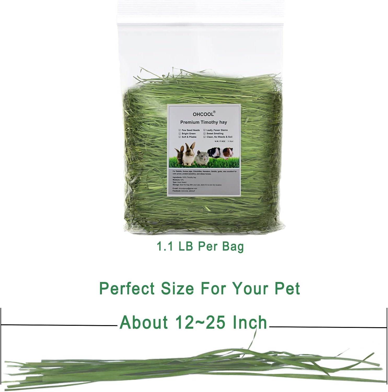 Buy OHCOOL Timothy Hay Premium Hay for Rabbits Guinea Pig Chinchilla ...