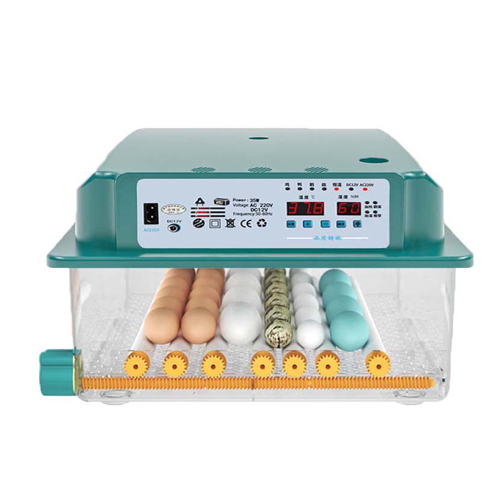 Buy Home Chick Incubator, Brooder Incubator, Automatic Egg Incubator ...