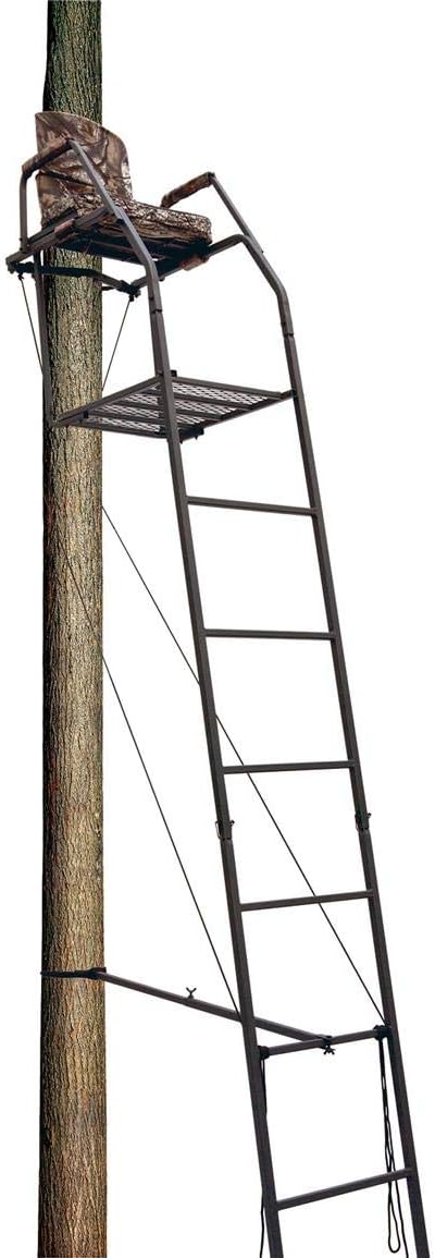 Amazon.com : Big Dog Hunting Blue Tick Ladder Treestand with Padded ...