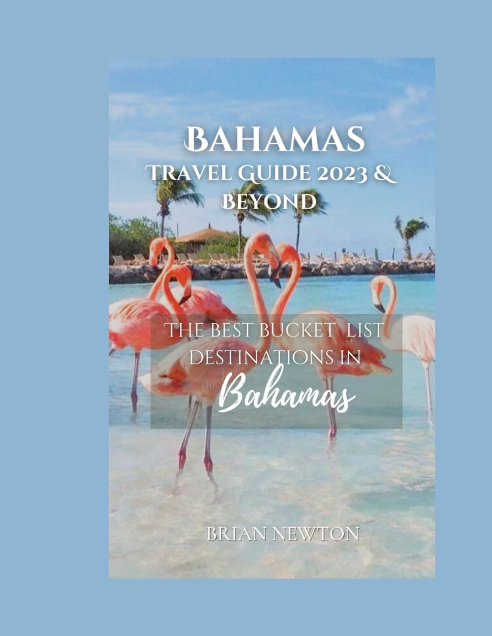 BAHAMAS TRAVEL GUIDE 2023 & BEYOND: Embark on a Journey of Discovery ...