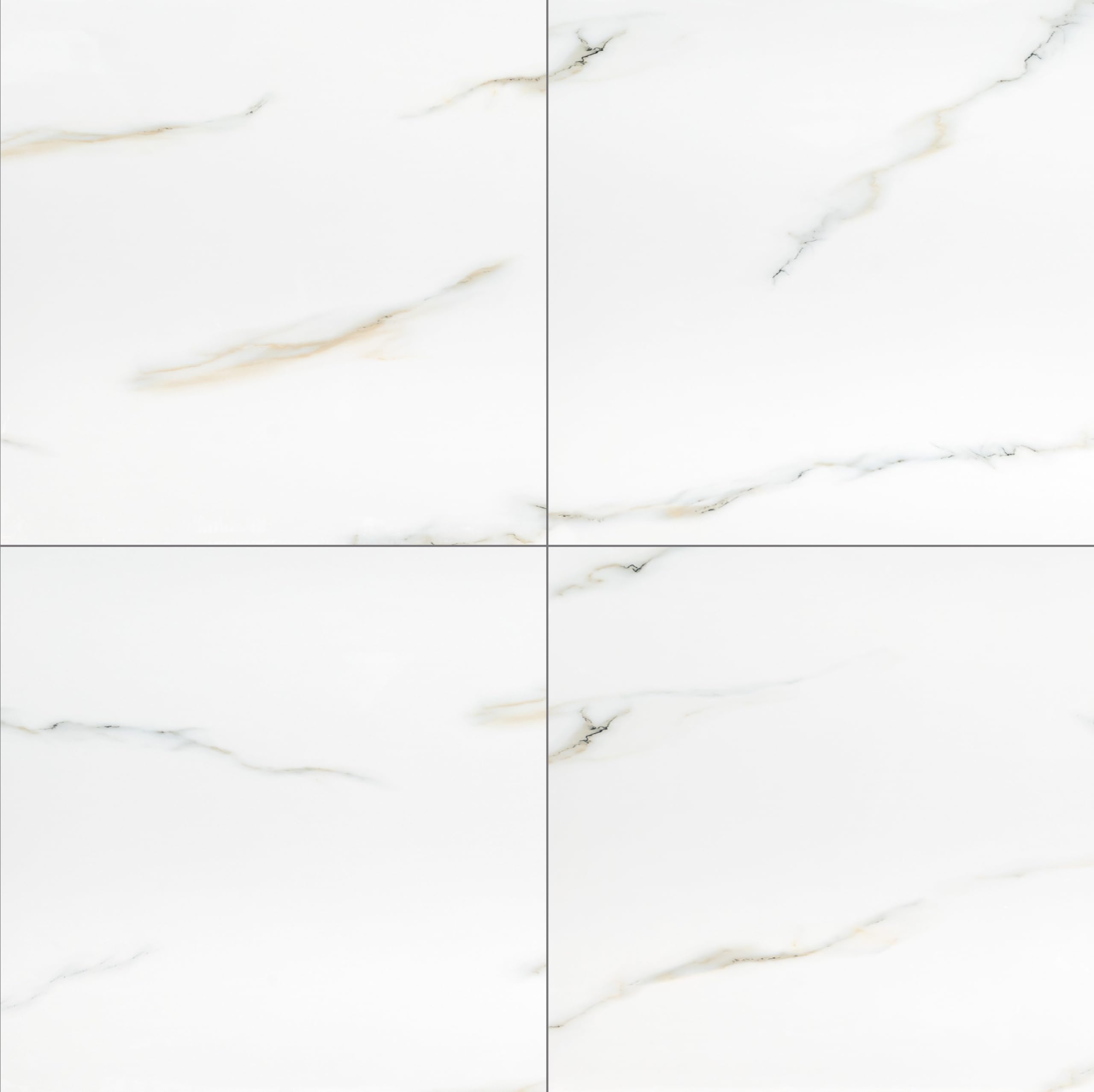 MSI Aria Bianco 24 in. x 48 in. Polished Porcelain Floor Tile and Wall ...