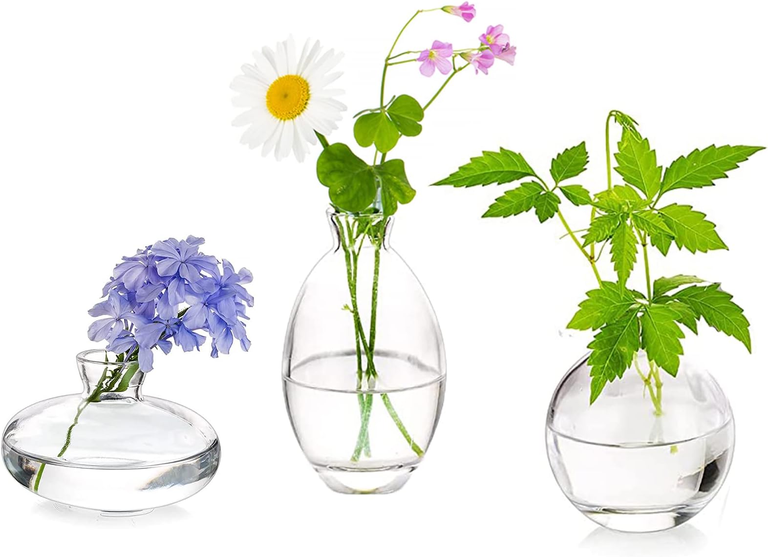 Amazon.com: Glass Vase Small Vases for Flowers - Glass Bud Vases Set of ...