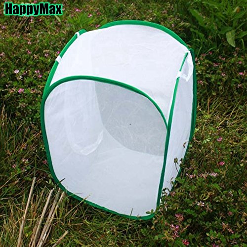 Butterfly Pop-up Cage Praying Mantis Stick Insect Housing Enclosure ...